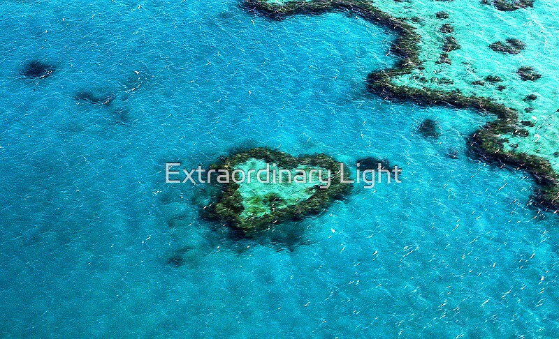 "Heart Reef" by Extraordinary Light | Redbubble