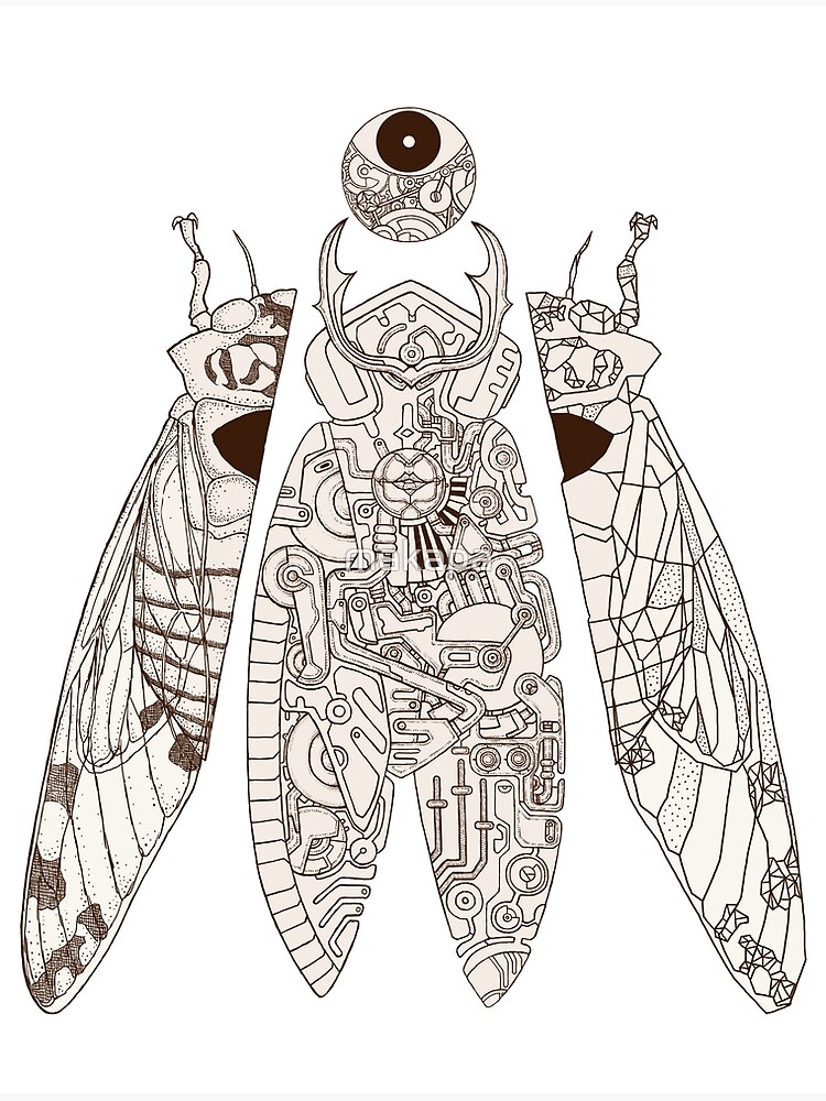 "cicada poem" Photographic Print by makapa | Redbubble