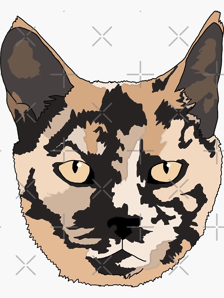 "Millie The Cat" Sticker for Sale by emilydevineart | Redbubble