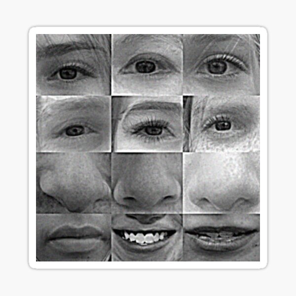 "facial recognition " Sticker for Sale by didulikemyart | Redbubble