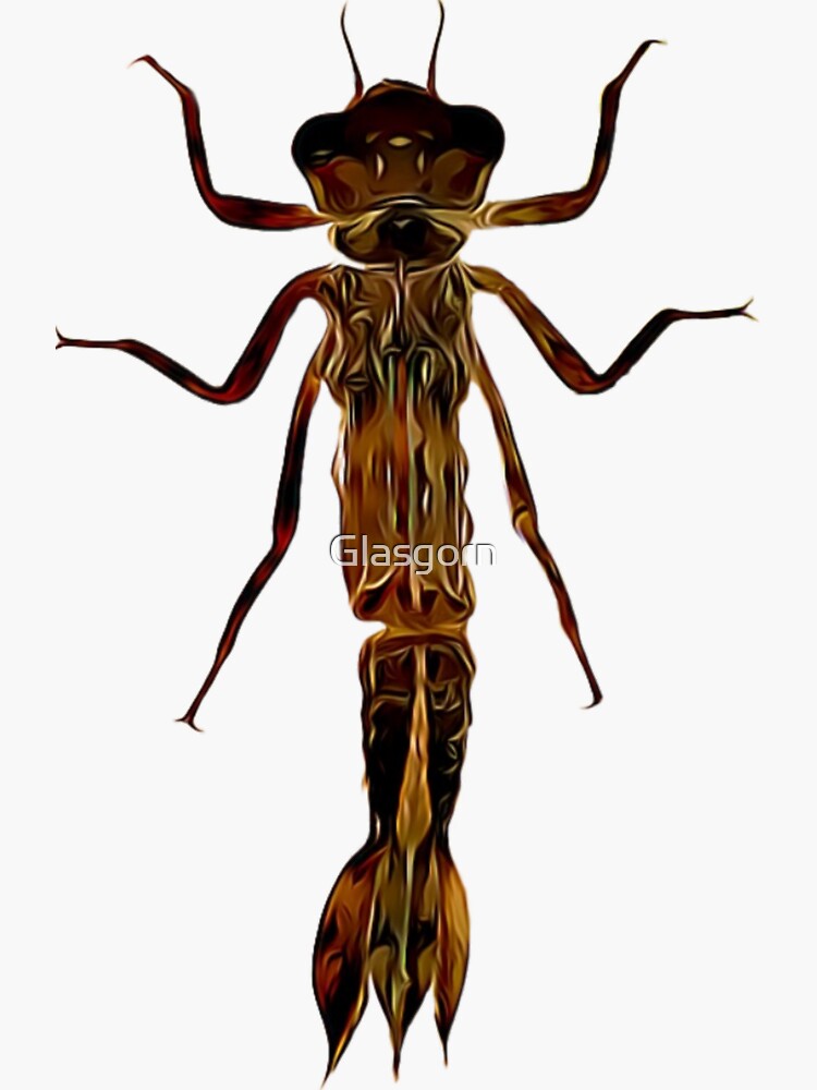 "Springwater Dancer nymph" Sticker for Sale by Glasgorn | Redbubble