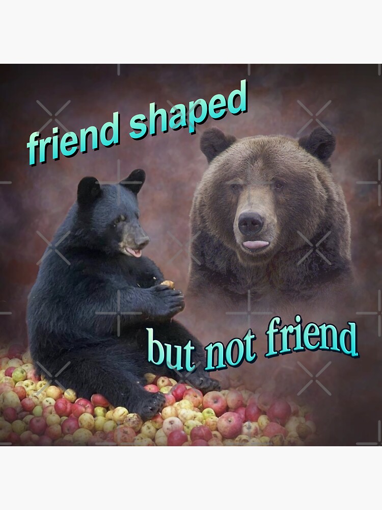 "Bears friend shaped but not friend word art meme" Sticker for Sale by ...