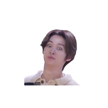 "Lee Know Meme Sticker" Sticker for Sale by ETCollections | Redbubble