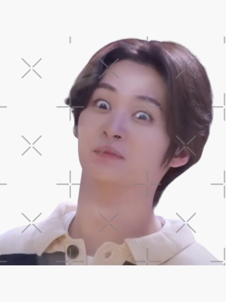 "Lee Know Meme Sticker" Sticker for Sale by ETCollections | Redbubble