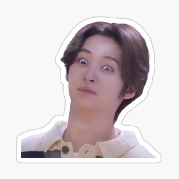 "Lee Know Meme Sticker" Sticker for Sale by ETCollections | Redbubble