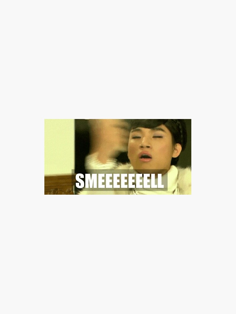 "Daesung Smell Meme" Sticker for Sale by chogiwhy | Redbubble