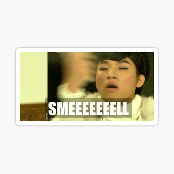 "Daesung Smell Meme" Sticker for Sale by chogiwhy | Redbubble