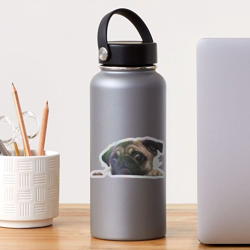 "Pugs " Sticker for Sale by pugsaregreat | Redbubble