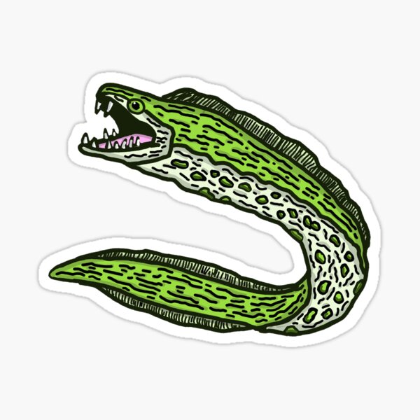 "Moray eel" Sticker for Sale by sssartin | Redbubble