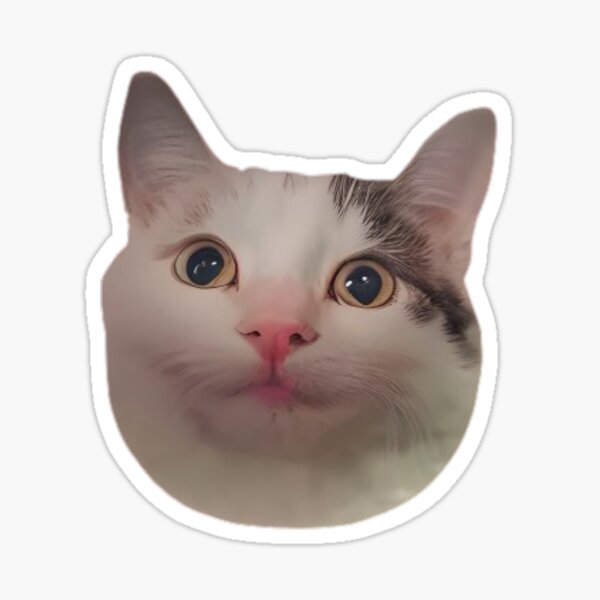 "cat meme" Sticker by MiausWoof | Redbubble