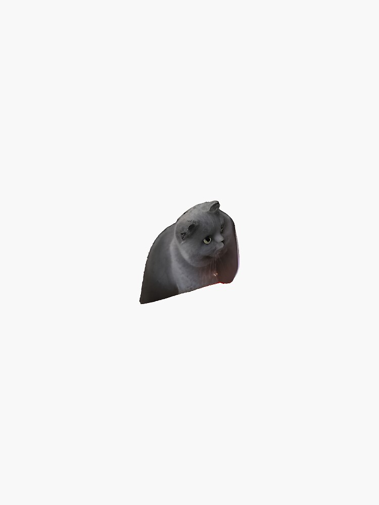 "Cat meme look exam" Sticker by MiausWoof | Redbubble