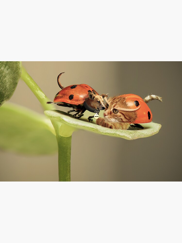 "Lady Buggin" Sticker by BigRedCurlyGuy | Redbubble
