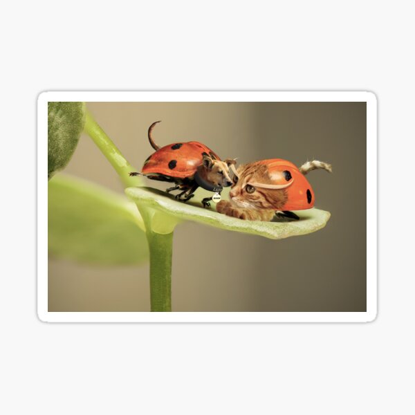 "Lady Buggin" Sticker by BigRedCurlyGuy | Redbubble