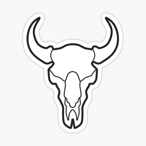 how to draw a bison skull