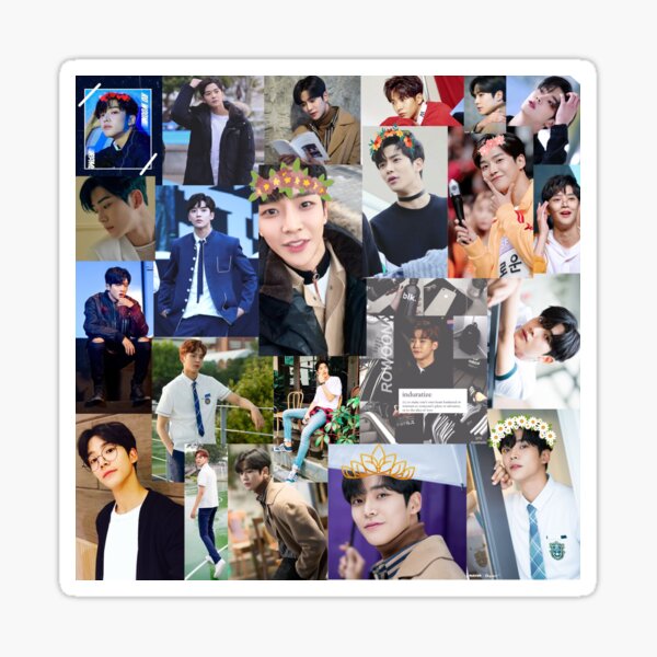 "Rowoon Beautiful Collage" Sticker for Sale by GoghGetta | Redbubble
