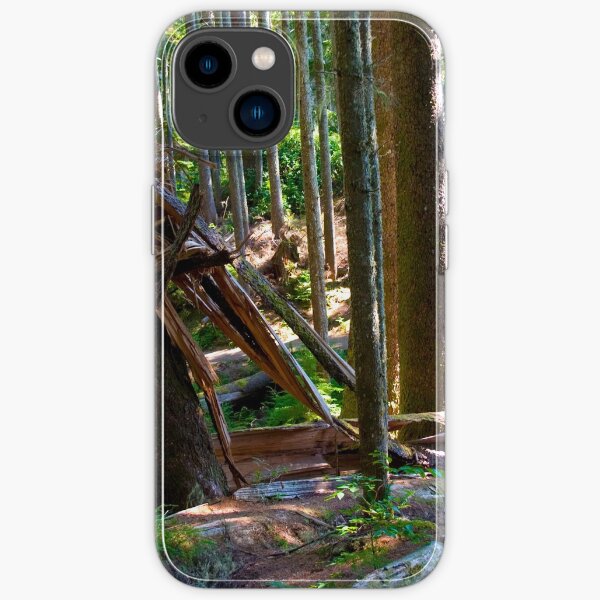"Shattered Sitka" iPhone Case for Sale by medicek | Redbubble