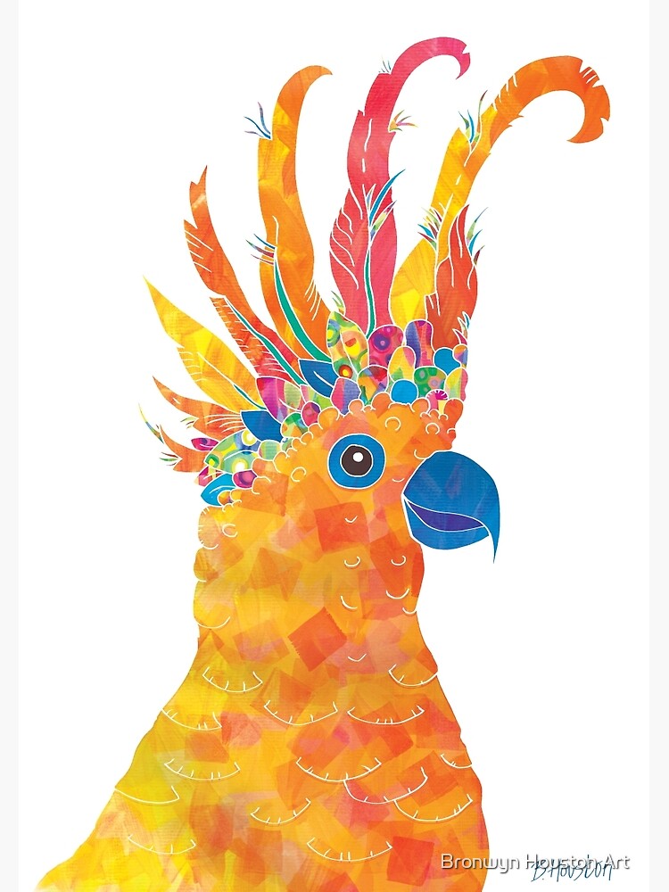 "Rainbow Cocky" Photographic Print for Sale by Bronwyn Houston Art ...
