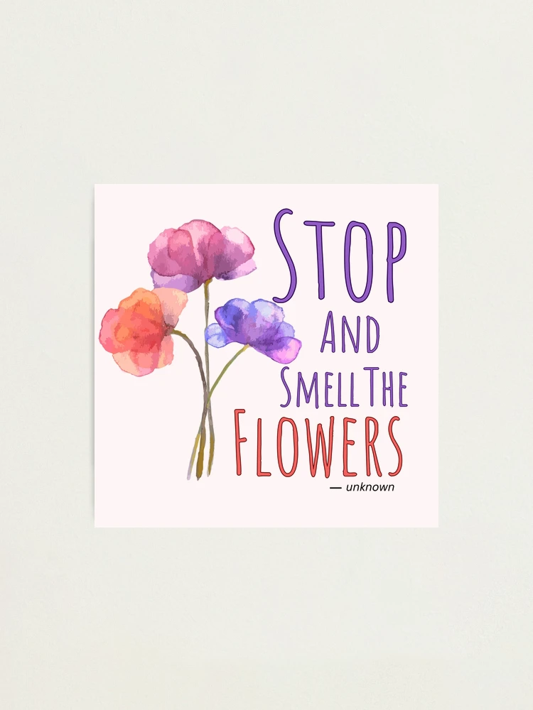 Stop and Smell the Flowers,Watercolor Flower Design,Florist Stop and Smell the Flowers,Watercolor Flower Design,Florist