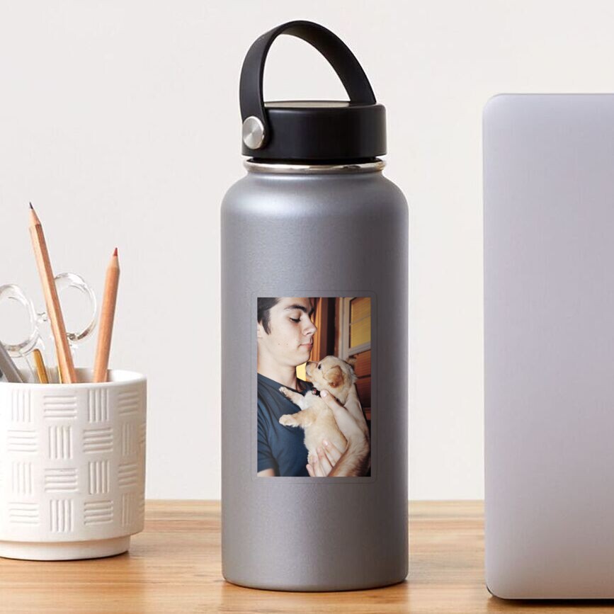 "Dylan O'Brien" Sticker for Sale by lilyxprice | Redbubble