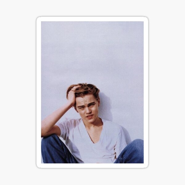 Leonardo Stickers | Redbubble