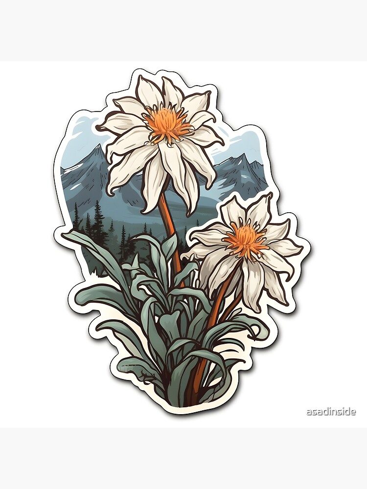 "Edelweiss sticker, water color" Art Board Print for Sale by asadinside ...