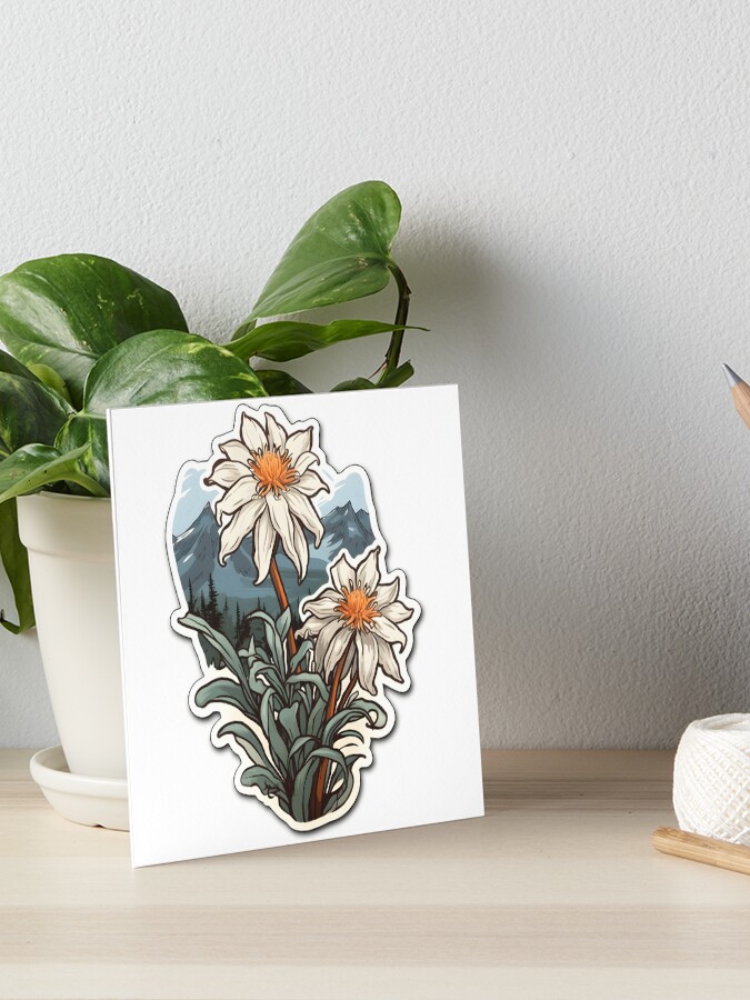 "Edelweiss sticker, water color" Art Board Print for Sale by asadinside ...