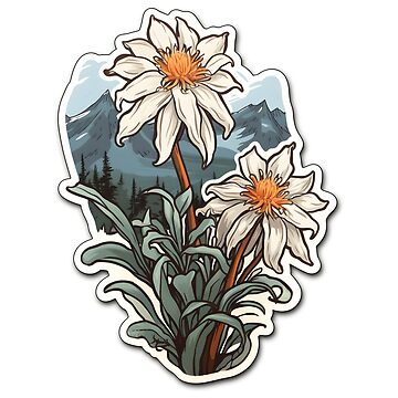 "Edelweiss sticker, water color" Art Board Print for Sale by asadinside ...