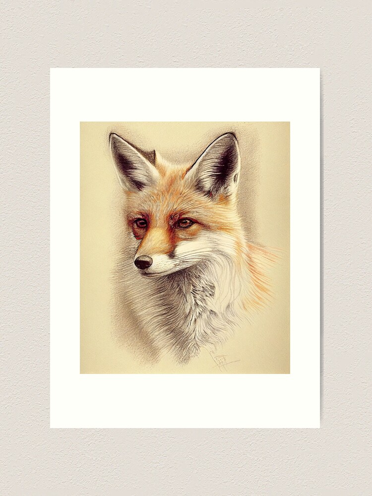 Dessin De Renard Vintage
