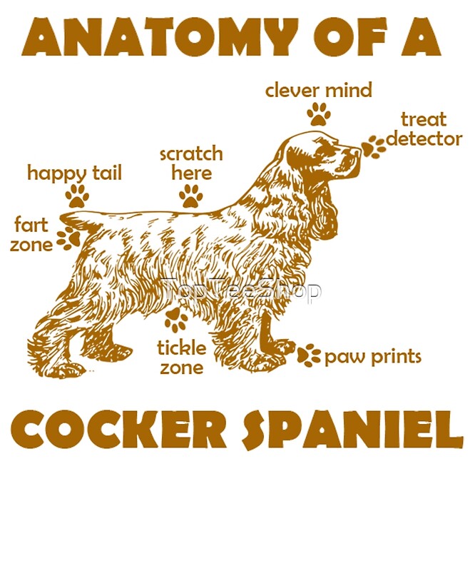 "Funny Cocker Spaniel T-Shirt Anatomy of a Dog Breed" by TopTeeShop ...