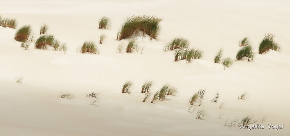 "Sand Drift ... Western Australia" by Angelika Vogel | Redbubble