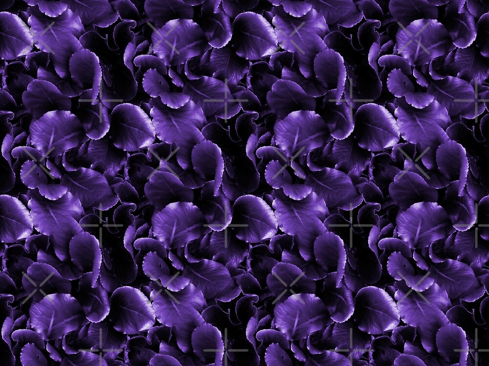 "Purple Patch (pattern)" by Yampimon | Redbubble