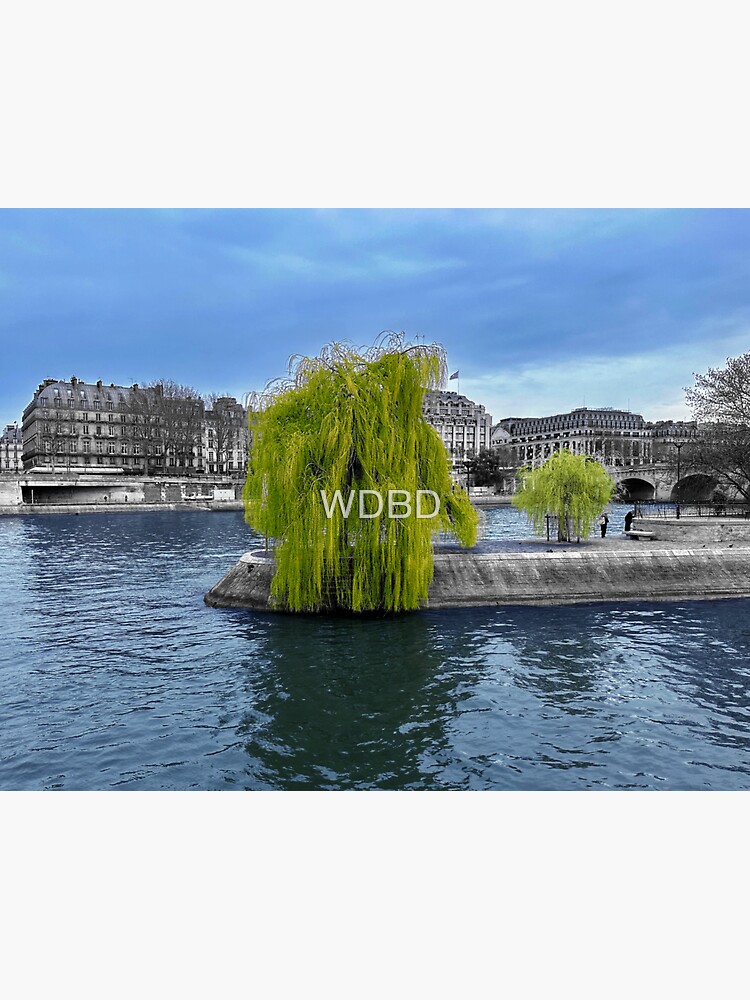 "The weeping tree by the Seine, Paris, France.2023" Sticker for Sale by ...