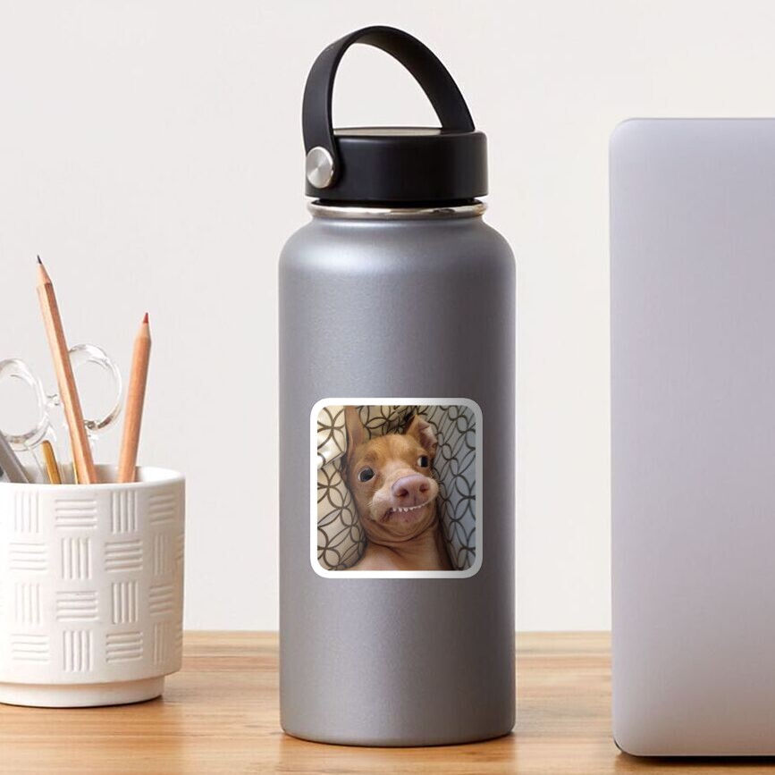 "Derpy Dog" Sticker for Sale by arrttu | Redbubble