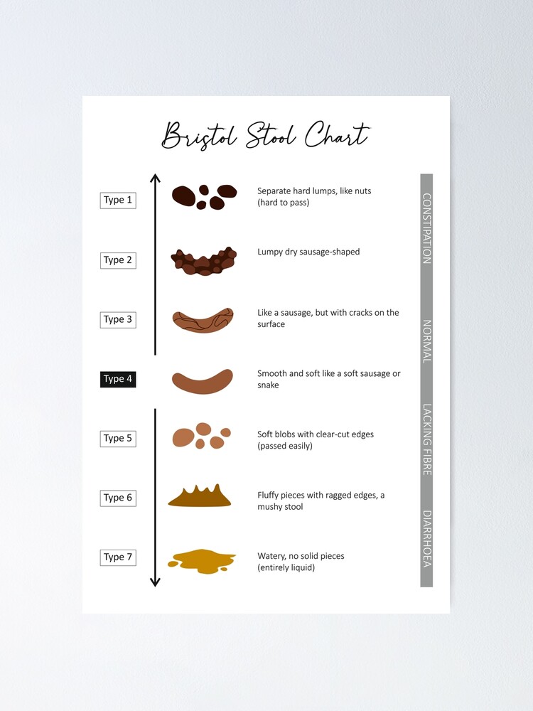 "Bristol Stool Chart - Black" Poster for Sale by martina1988 | Redbubble