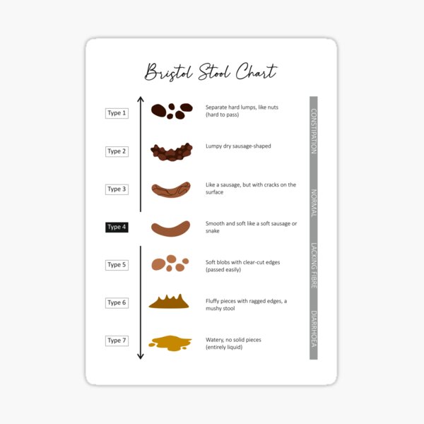 "Bristol Stool Chart - Black" Sticker for Sale by martina1988 | Redbubble