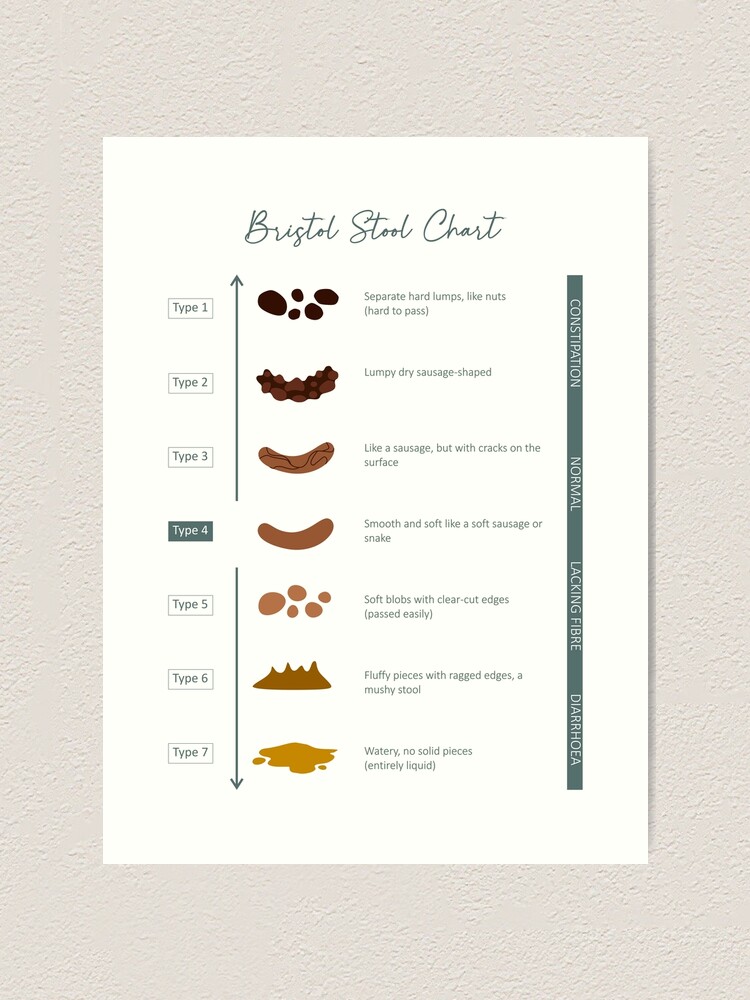 "Bristol Stool Chart - Green" Art Print for Sale by martina1988 | Redbubble