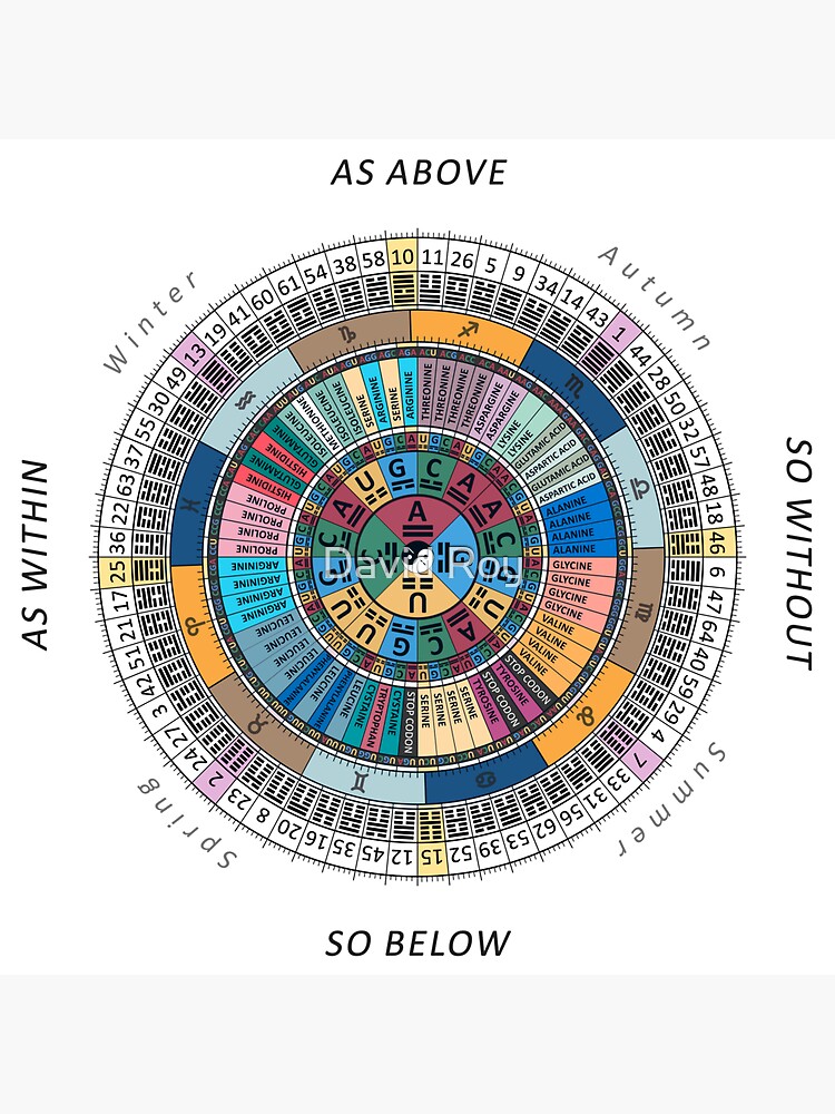 "DNA - I Ching - Zodiac - Genetic Matrix - Codon Art" Sticker for Sale ...