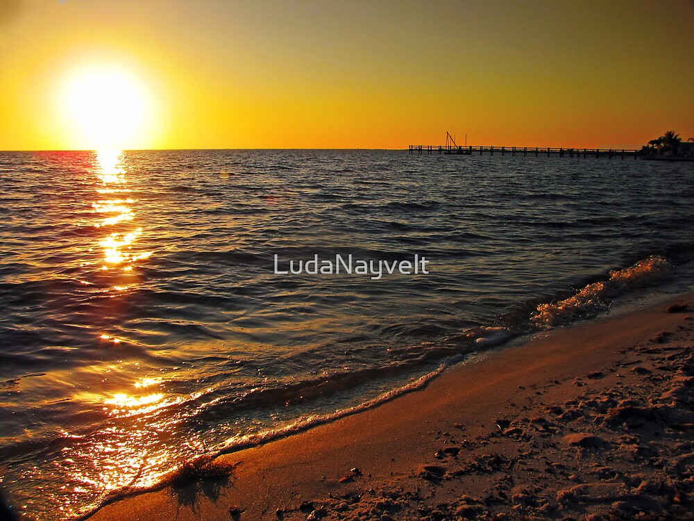 "Sunset over Peace River, FL" by LudaNayvelt | Redbubble