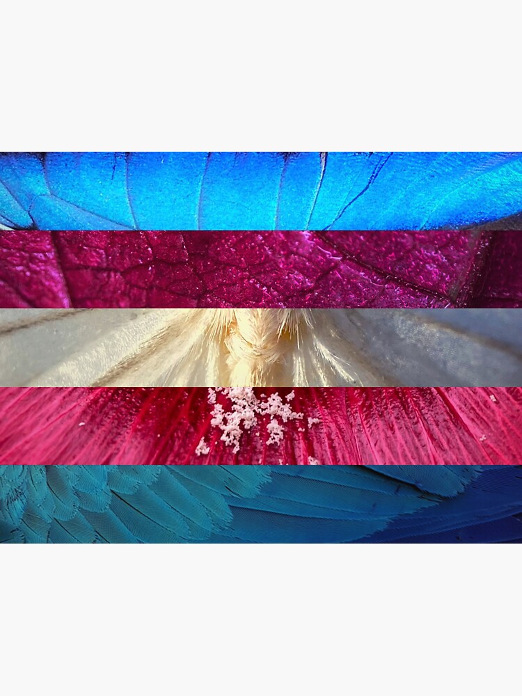 "Transflag natural patterns - a transgender pride flag made from ...