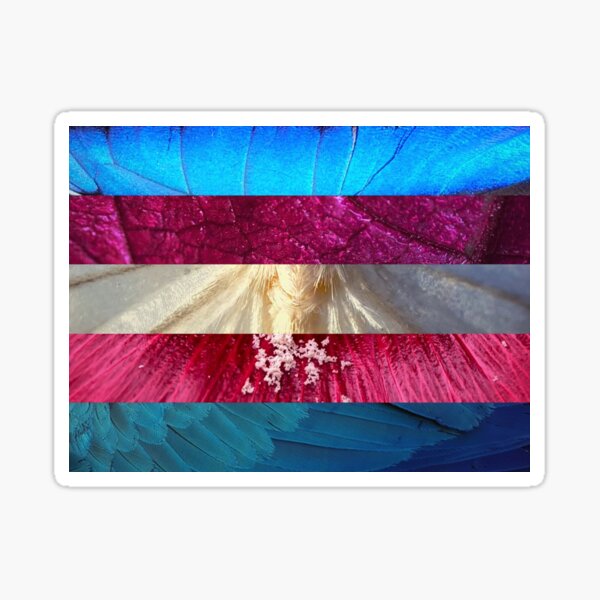 "Transflag natural patterns - a transgender pride flag made from ...