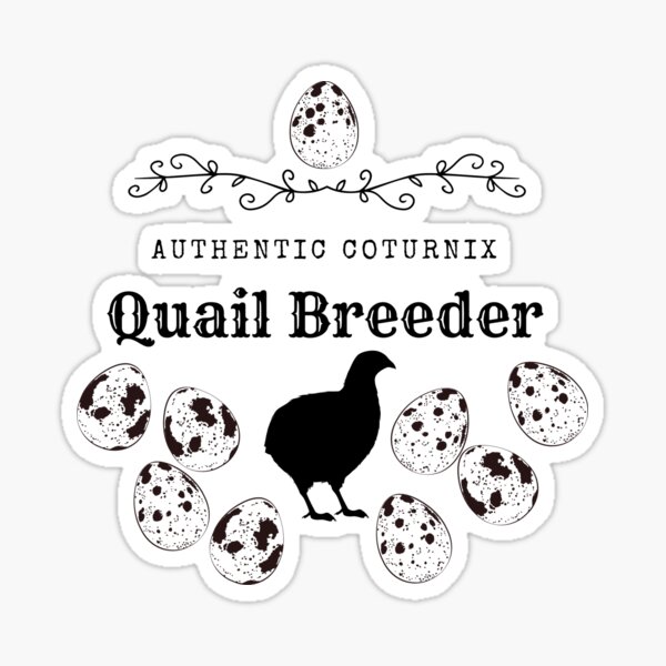"Authentic Coturnix Quail Breeder" Sticker for Sale by Ashley Gagnon ...