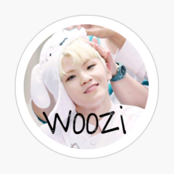 "[SEVENTEEN] “WOOZI ICON” Sticker" Sticker for Sale by zjhzhs | Redbubble