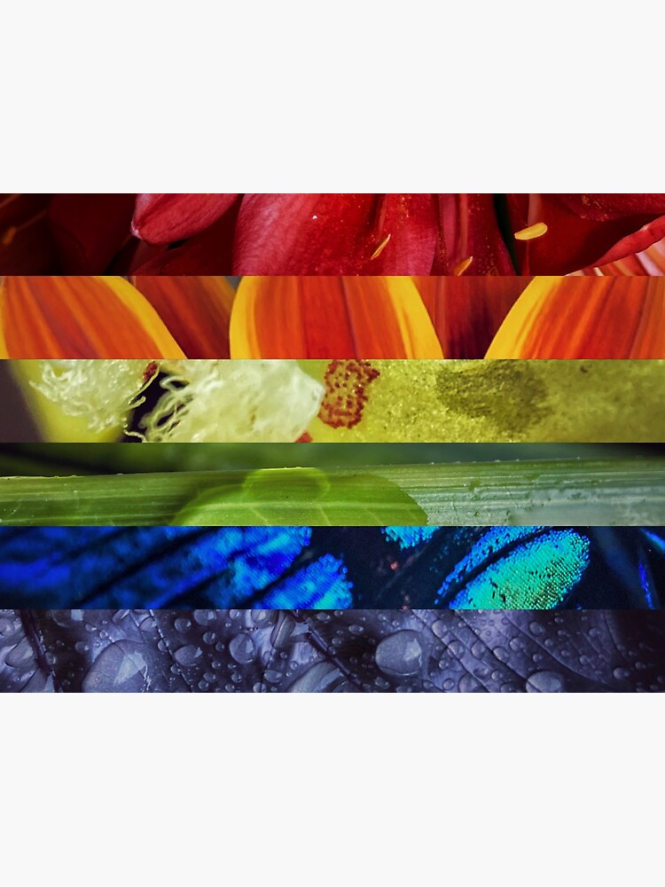 "NATURAL RAINBOW PRIDE - a pride flag made from natures colors" Sticker ...