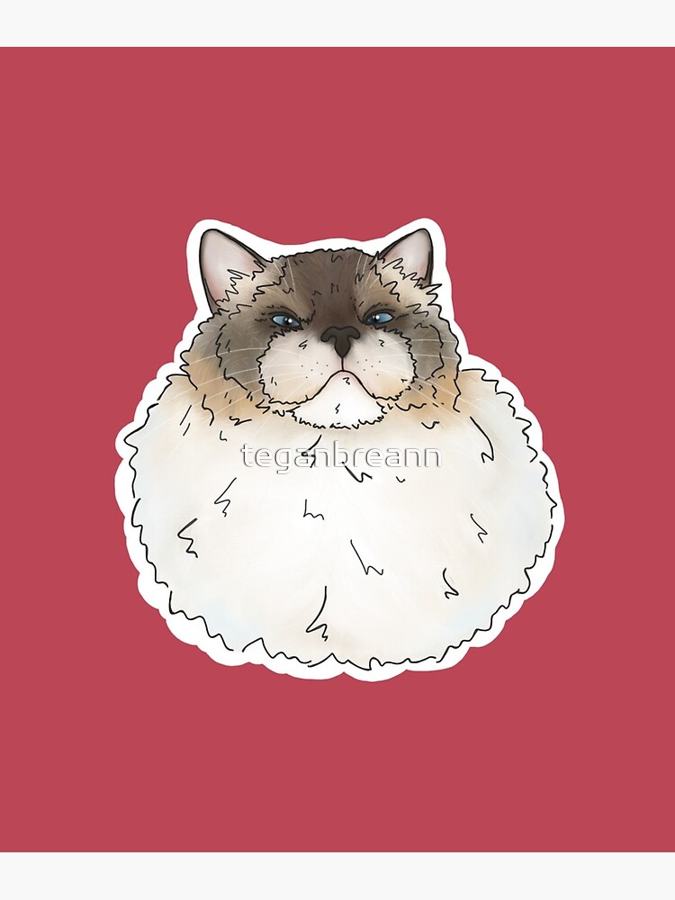 "Archie the Cat" Poster for Sale by teganbreann | Redbubble