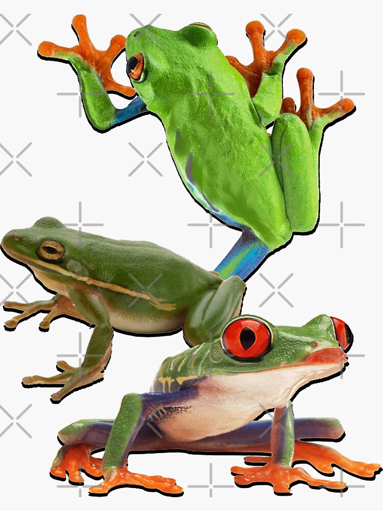"Tree Frogger" Sticker for Sale by NINUNO | Redbubble