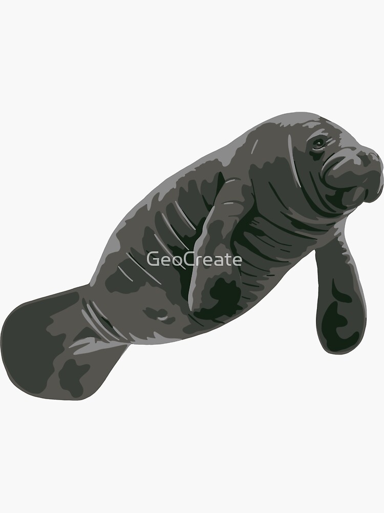 "Manatee Portrait" Sticker for Sale by GeoCreate | Redbubble