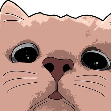 "cute cat meme confuse face" Sticker for Sale by thebunga | Redbubble