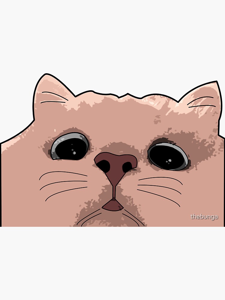 "cute cat meme confuse face" Sticker for Sale by thebunga | Redbubble