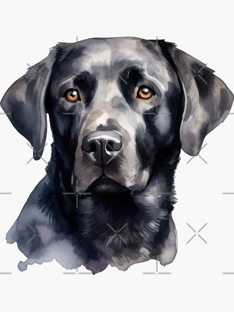 "Shadow - the not so mysterious Labrador" Sticker for Sale by ...