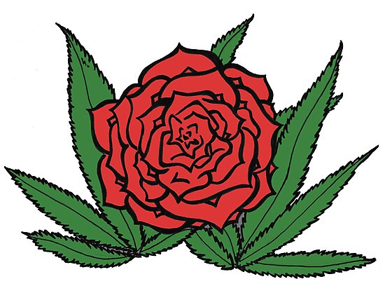 "Weed Rose - Trippy Stoner Marijuana Rose" Photographic Print by ...